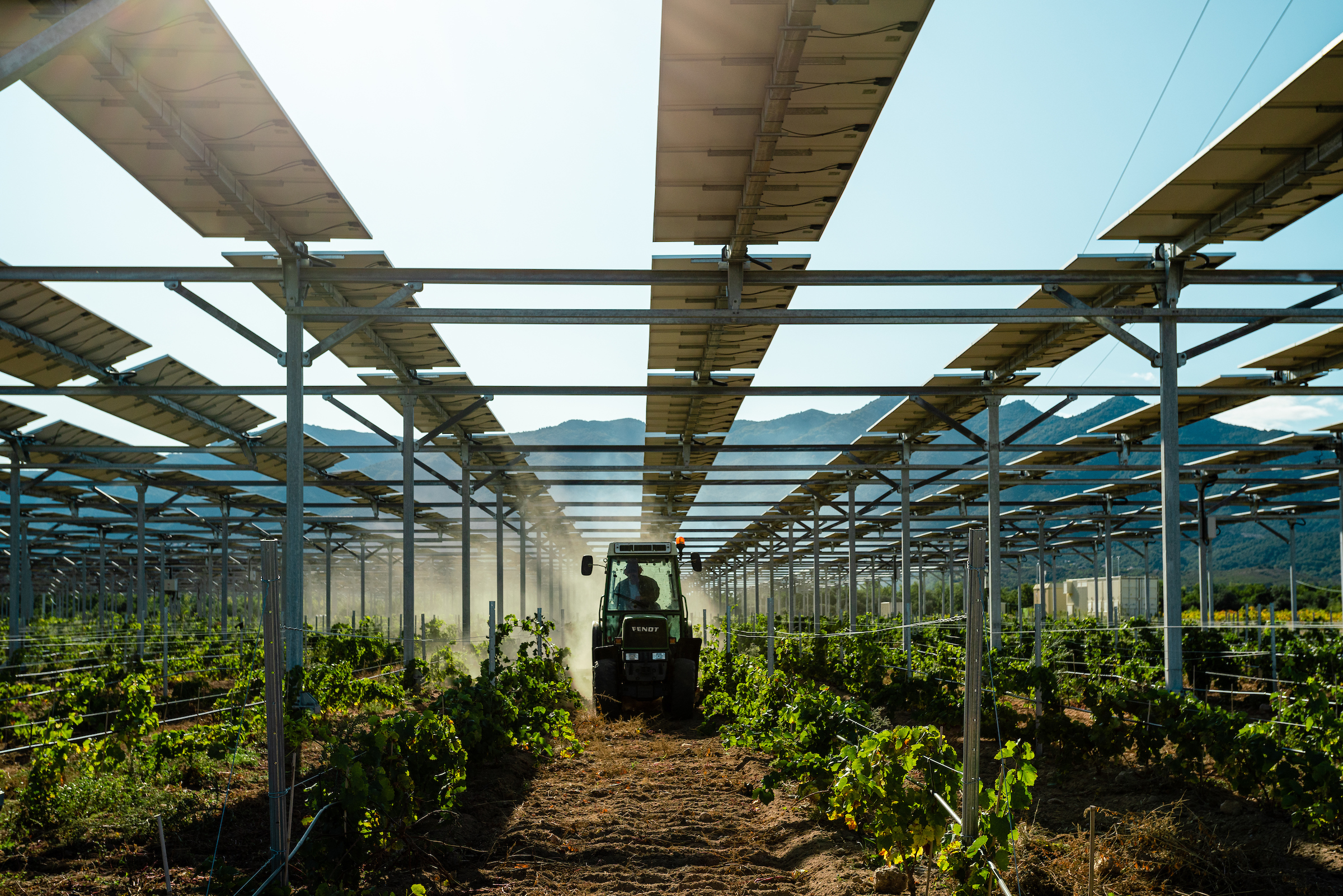 Agrivoltaism, solar power for agricultural production | Boralex US