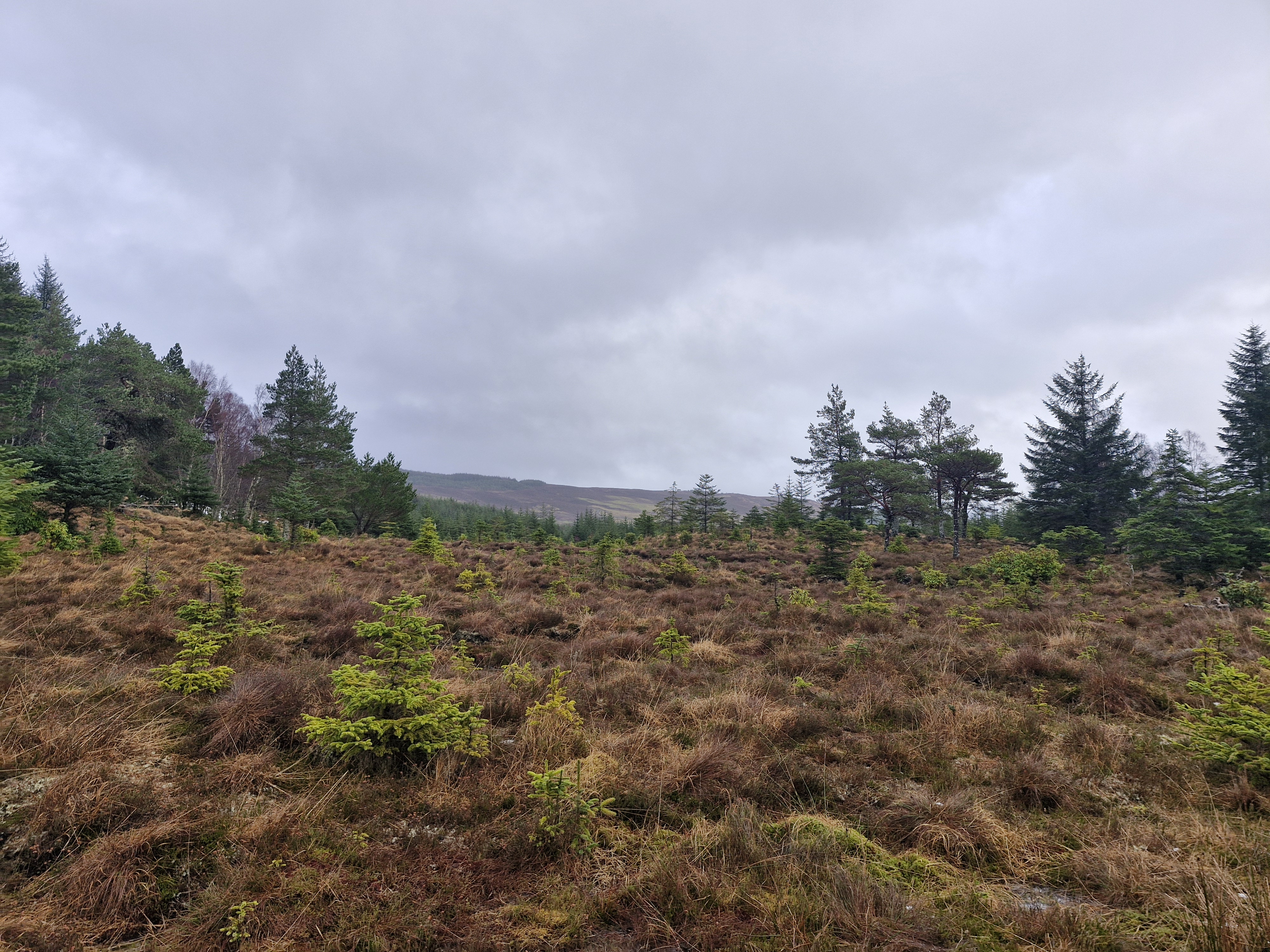 Lochluichart East BESS | Boralex US